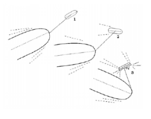 Wheel Over Position | Knowledge Of Sea
