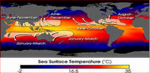 Tropical Revolving Storm | Knowledge Of Sea