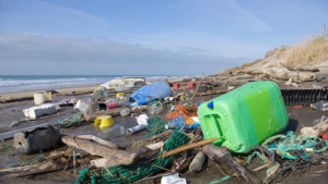 Port State Control & Flag State Control | Knowledge Of Sea