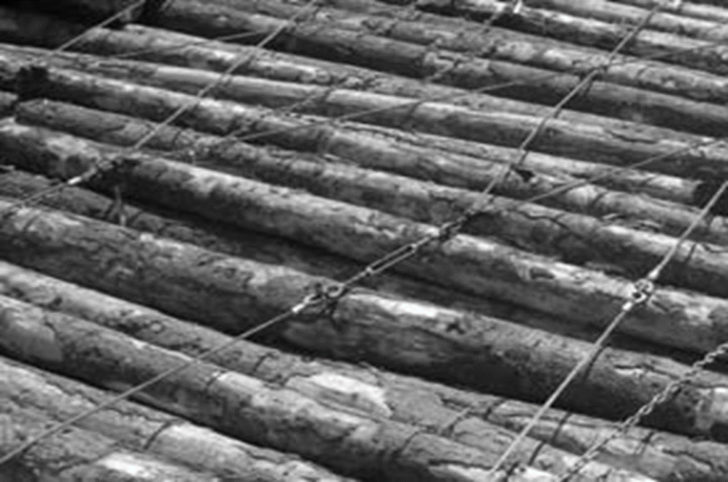 Carriage of Timber Cargo | Knowledge Of Sea