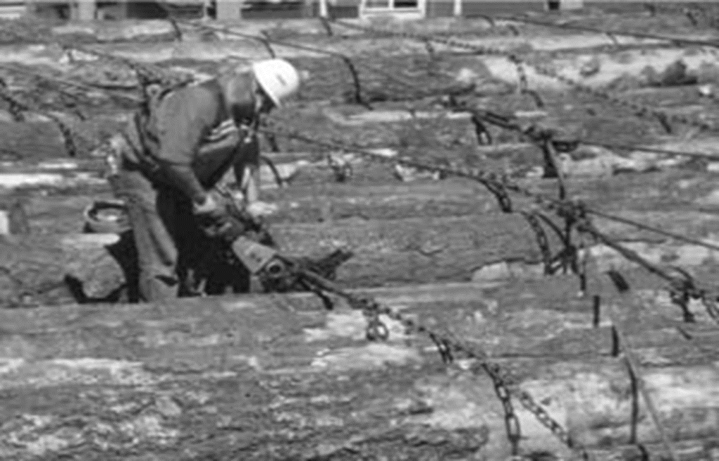 Carriage of Timber Cargo | Knowledge Of Sea