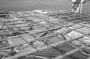 Carriage of Timber Cargo | Knowledge Of Sea