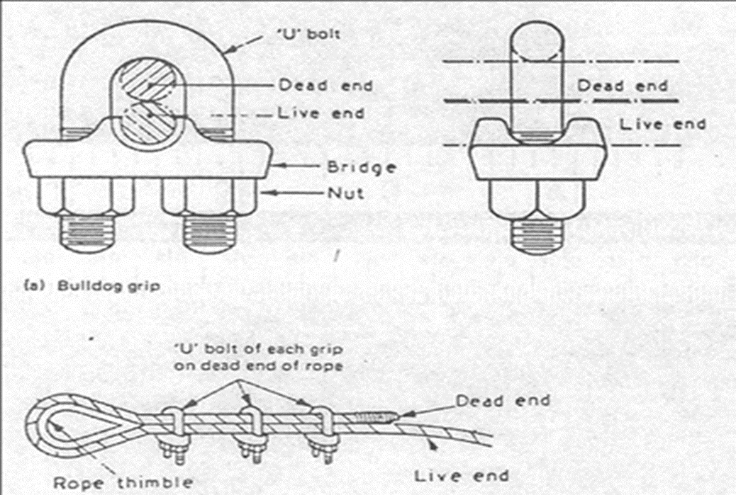 Carriage of Timber Cargo | Knowledge Of Sea